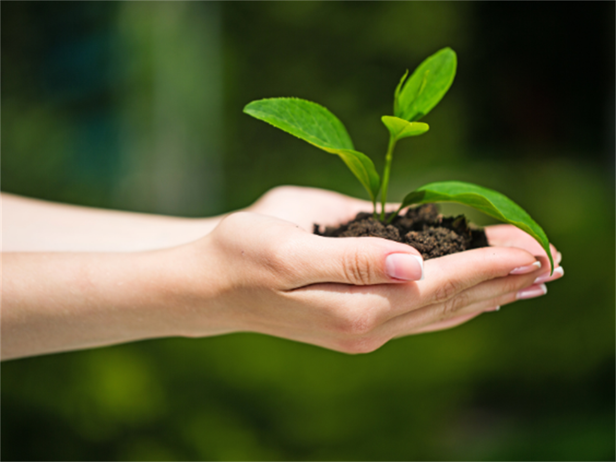 Indigo Shire Council awards $20,000 through Community Sustainability P ...