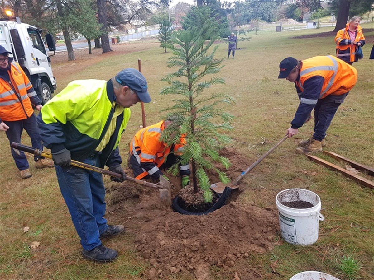Queen Victoria Park Beautification (completed 2023) | Indigo Shire Council